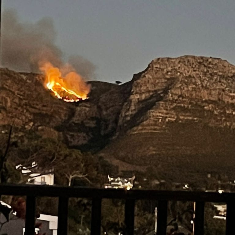 Fire in Simons Town • Cape of Good Hope SPCA