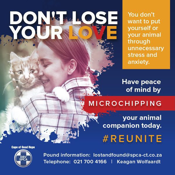 Campaigns • Cape of Good Hope SPCA