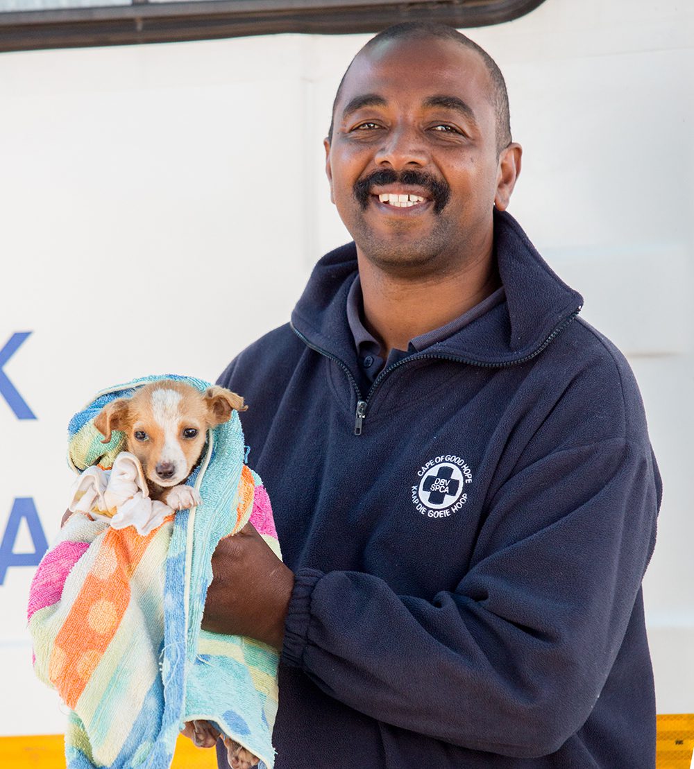 Meet Melvin George • Cape of Good Hope SPCA