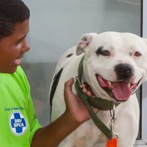 About Cape of Good Hope SPCA - Our Vision & Mission