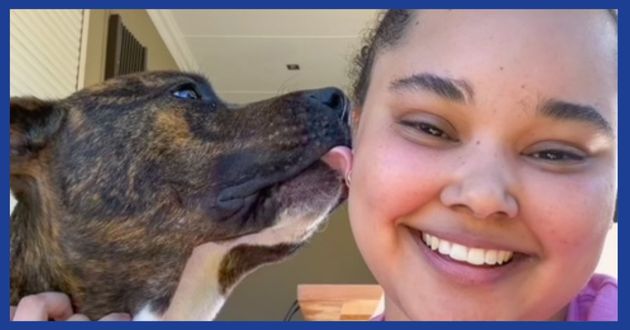 Ordinary People Can Make a Difference: Big Boy Finds Fur-ever Home ...