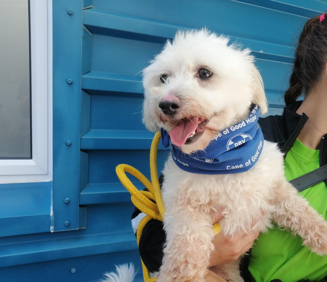 Woofles • Cape of Good Hope SPCA