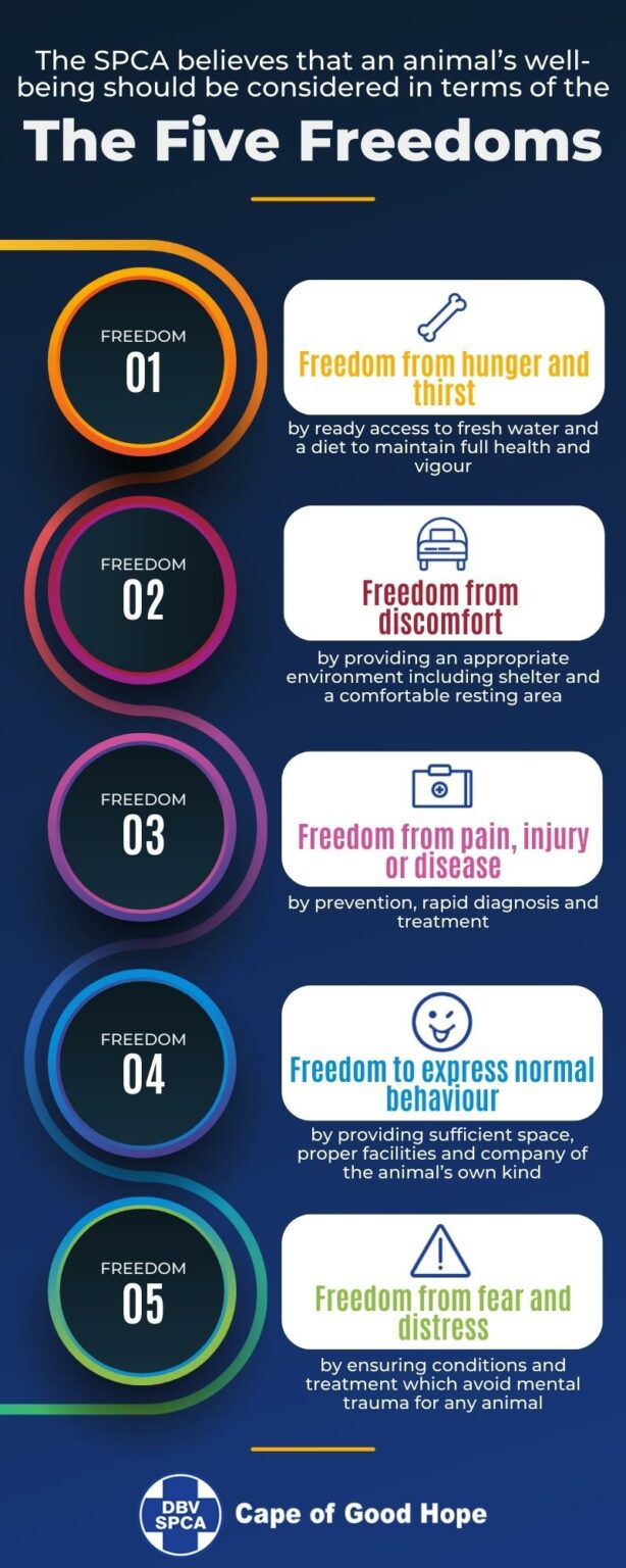 The Five Freedoms of Animals • Cape of Good Hope SPCA