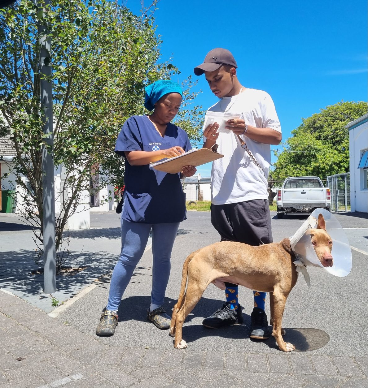 Dog reunited • Cape of Good Hope SPCA