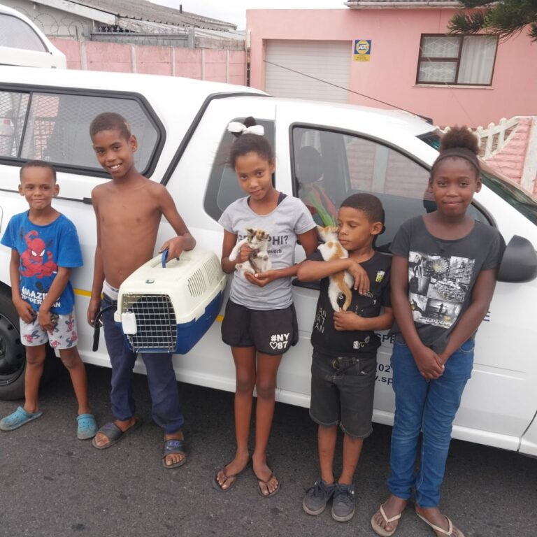 Young heroes to the rescue as informal settlement turned to ashes ...