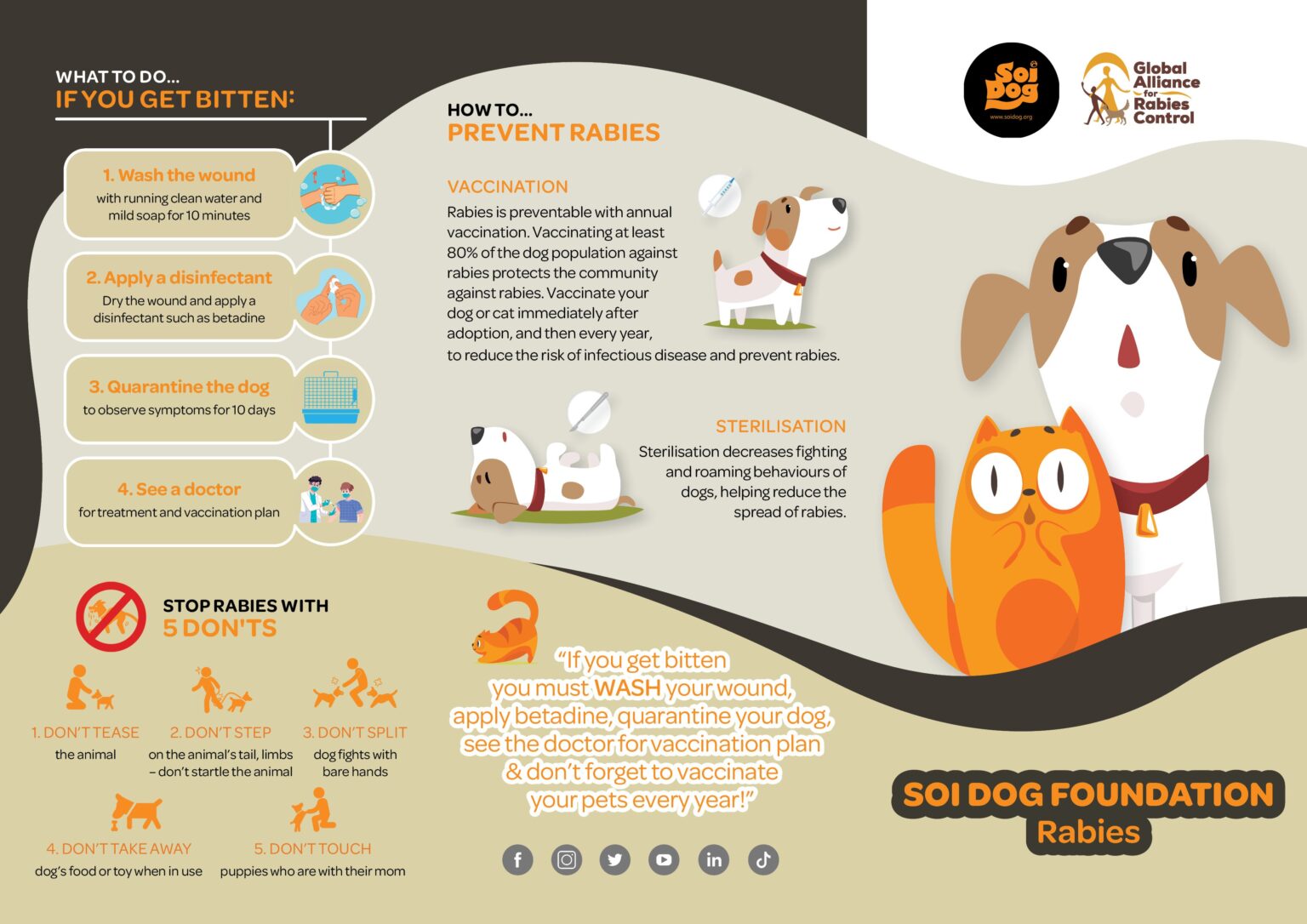 A Call to Action for Pet Owners on World Rabies Day • Cape of Good Hope ...